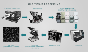 Tissue processing in the 21st century - LifeCanvas Technologies