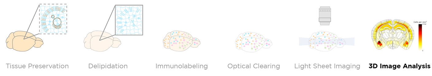 SmartAnalytics - LifeCanvas Technologies