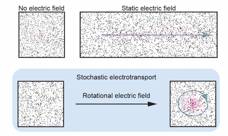 Our Technology - LifeCanvas Technologies