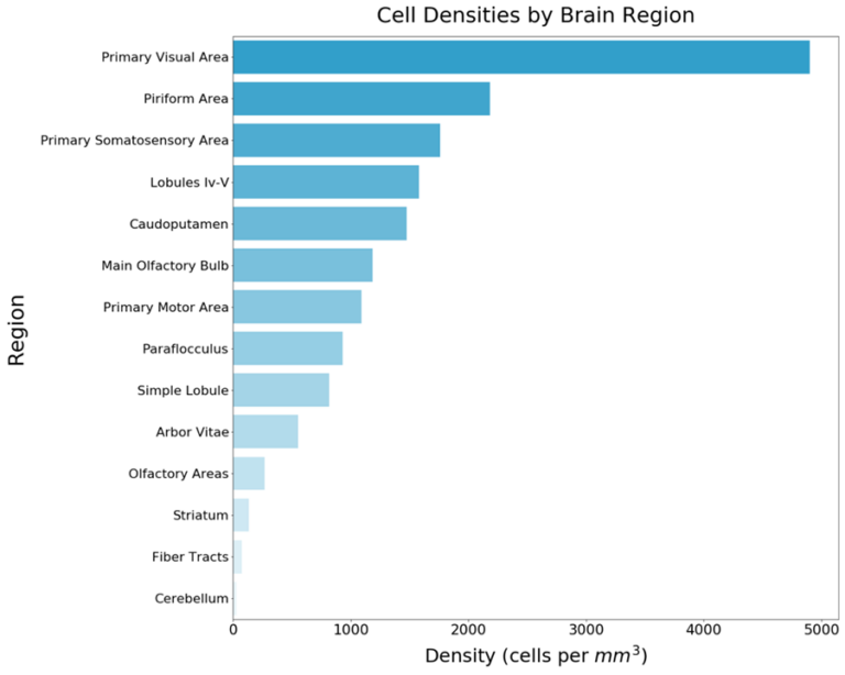 c-FOS: Molecular biology & detection for analysis of neuronal activity