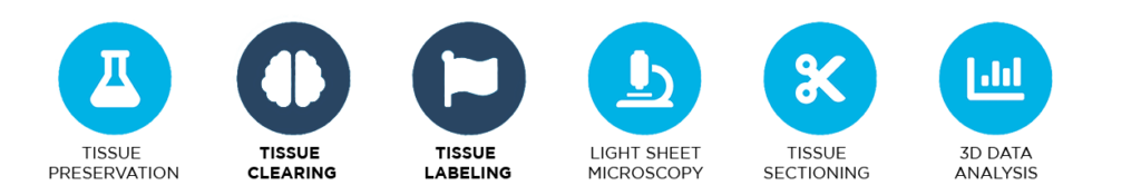 Tissue Clearing & Labeling with SmartBatch+