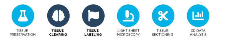 Tissue Clearing & Labeling with SmartBatch+