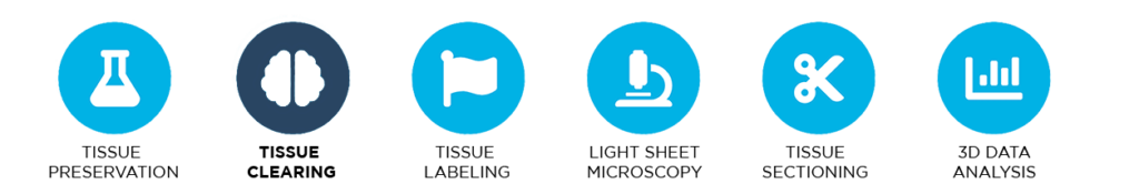Tissue Clearing Reagents - LifeCanvas Technologies