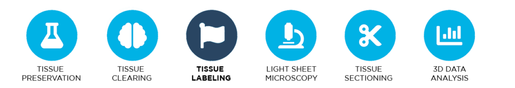 SmartLabel - LifeCanvas Technologies