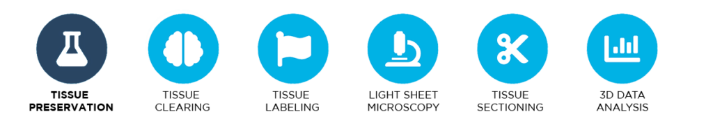 Tissue Preservation with SHIELD