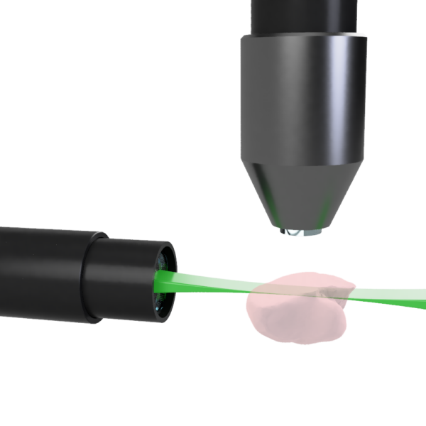 Light Sheet vs. Confocal Microscopy for 3D Imaging