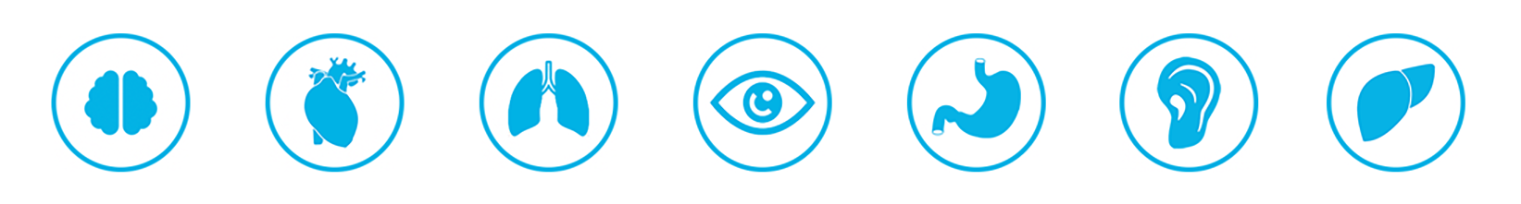 LifeCanvas Technologies at FBPS 2023