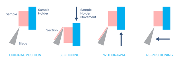 Microtome Types and Applications