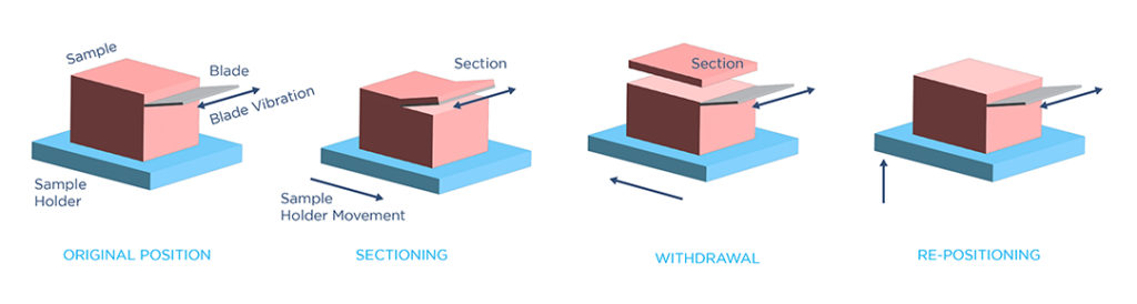 Microtome Types and Applications