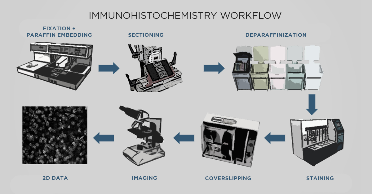 Immunohistochemistry (IHC) vs. 3D Histology