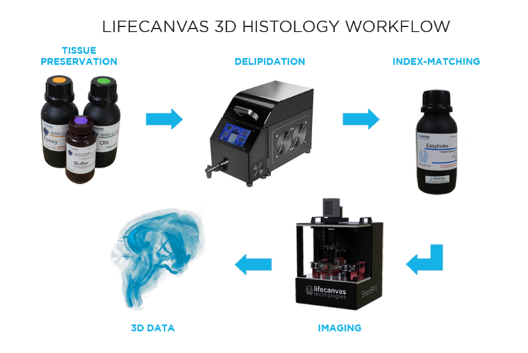 Immunohistochemistry (IHC) vs. 3D Histology
