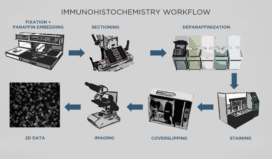 Immunohistochemistry (IHC) vs. 3D Histology